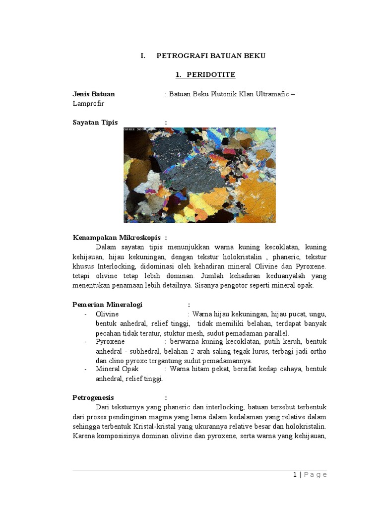 Petrografi Batuan Beku Plutonik | PDF