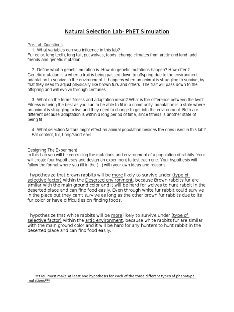 Phet Natural Selection | PDF | Dominance (Genetics) | Biological Evolution