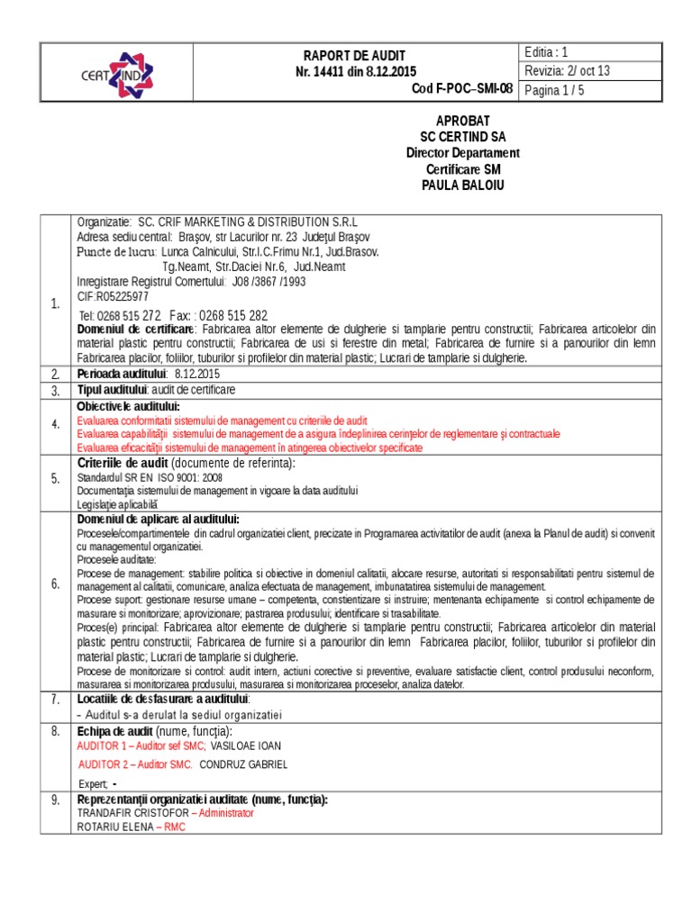 Raport de Audit C | PDF