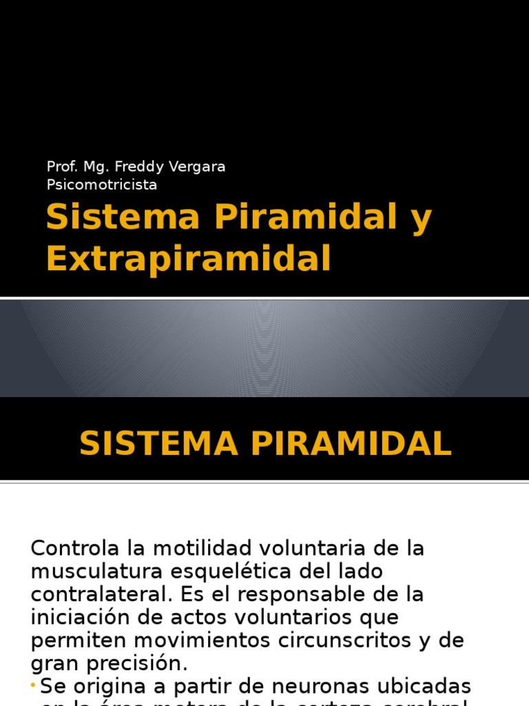 Sistema Piramidal y Extrapiramidal | PDF | Órgano (anatomía) | Neurociencia