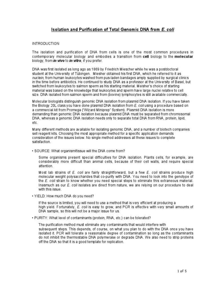 Dna Isolation From e Coli Protocol | PDF | Lysis | Dna