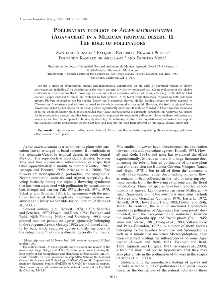 Pollination Ecology of Agave Macroacantha | PDF | Flowers | Bat