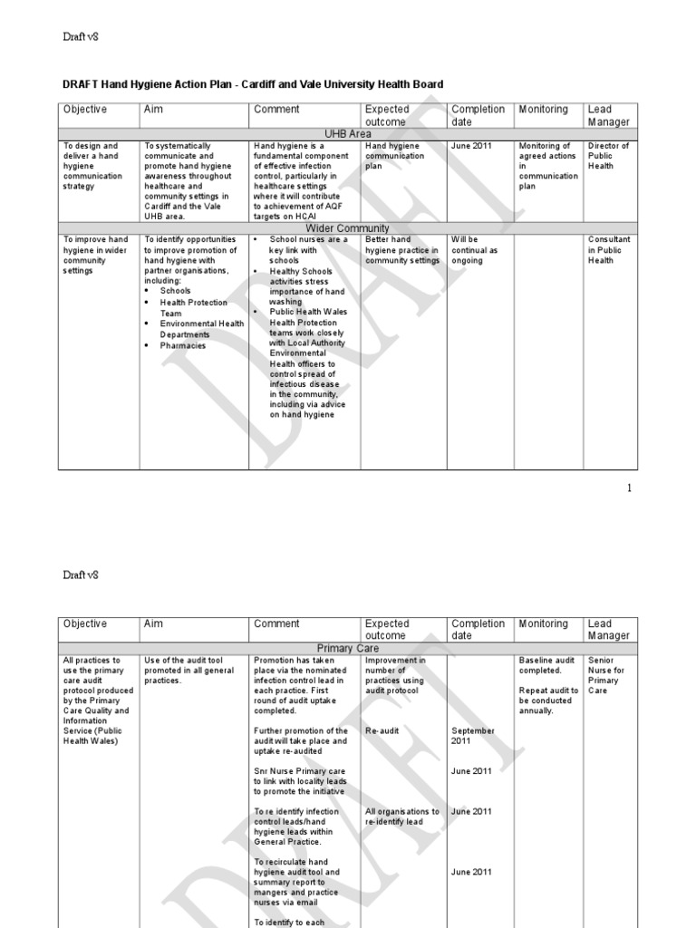 Hand Hygiene Action Plan - Final Draft For IPCG | PDF | Hygiene ...