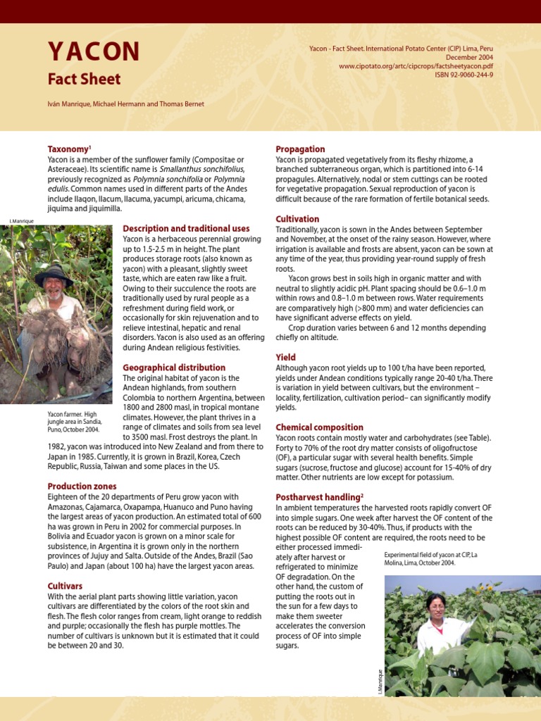 Fact Sheet Yacon | PDF | Plants | Organisms