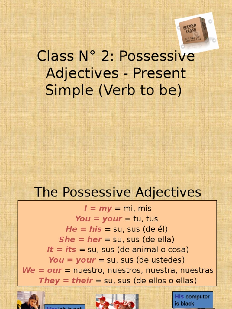 Possessive Adjectives - Verb To Be | PDF | Verb | Linguistic Typology