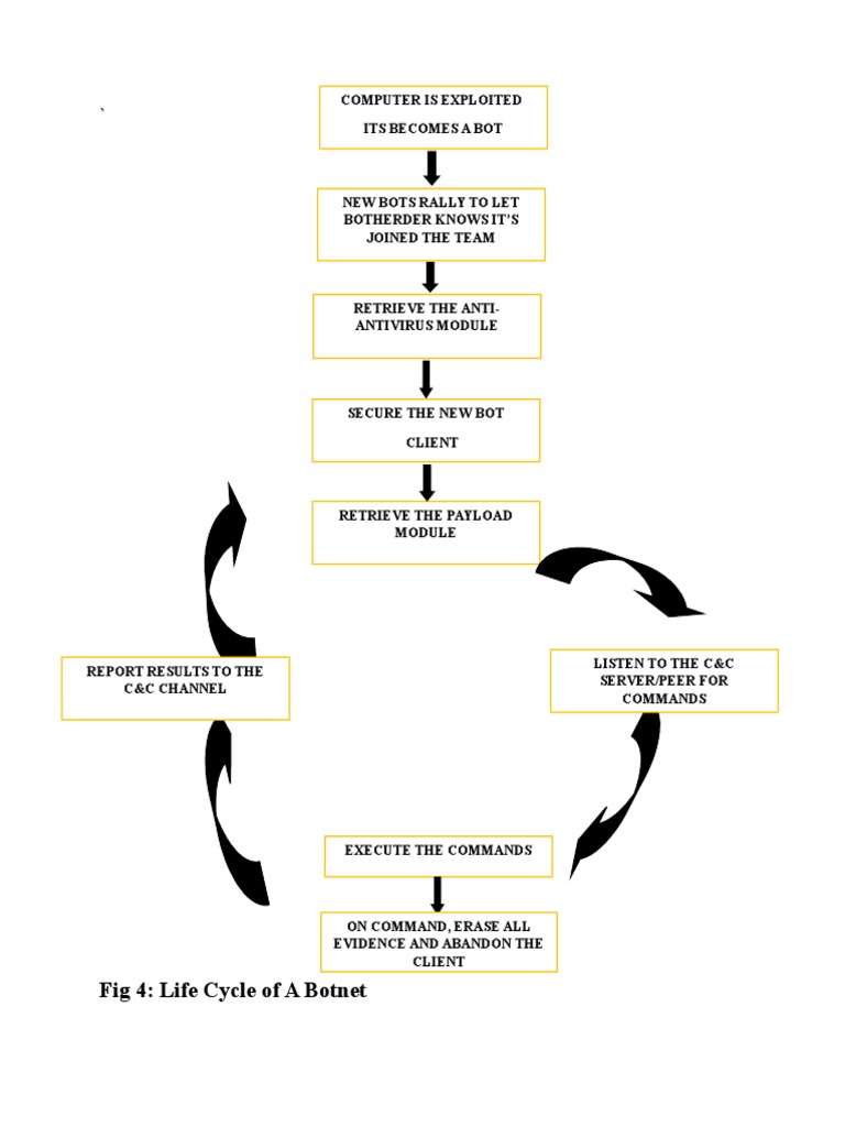 Botnet Life Cycle 1 | PDF