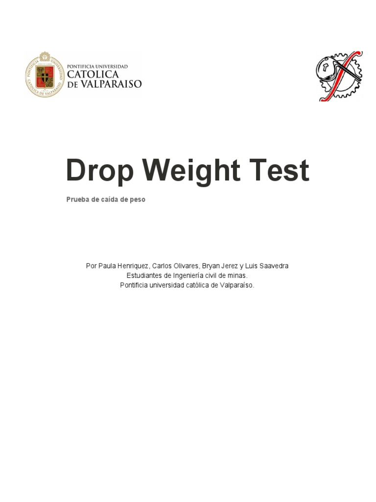 Dropweighttest | PDF | Minería | Software