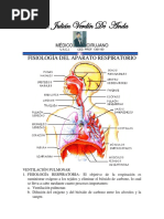 Posiciones Anatomicas | PDF