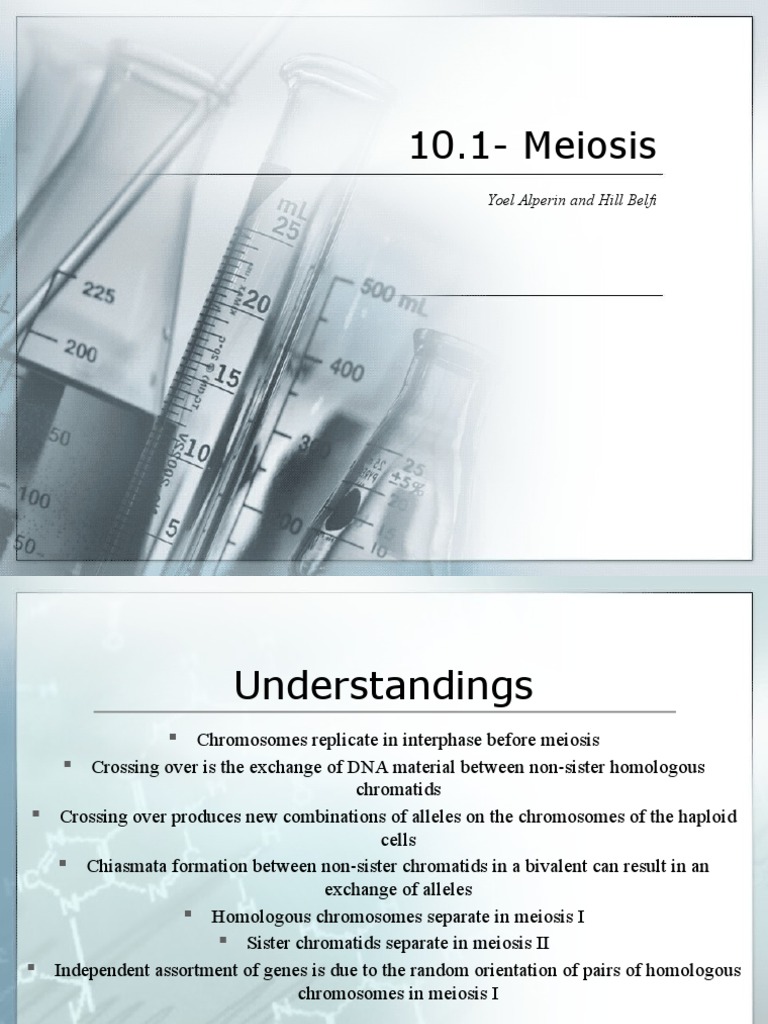 IB BIO 10.1 - Meiosis | PDF | Meiosis | Cell Cycle