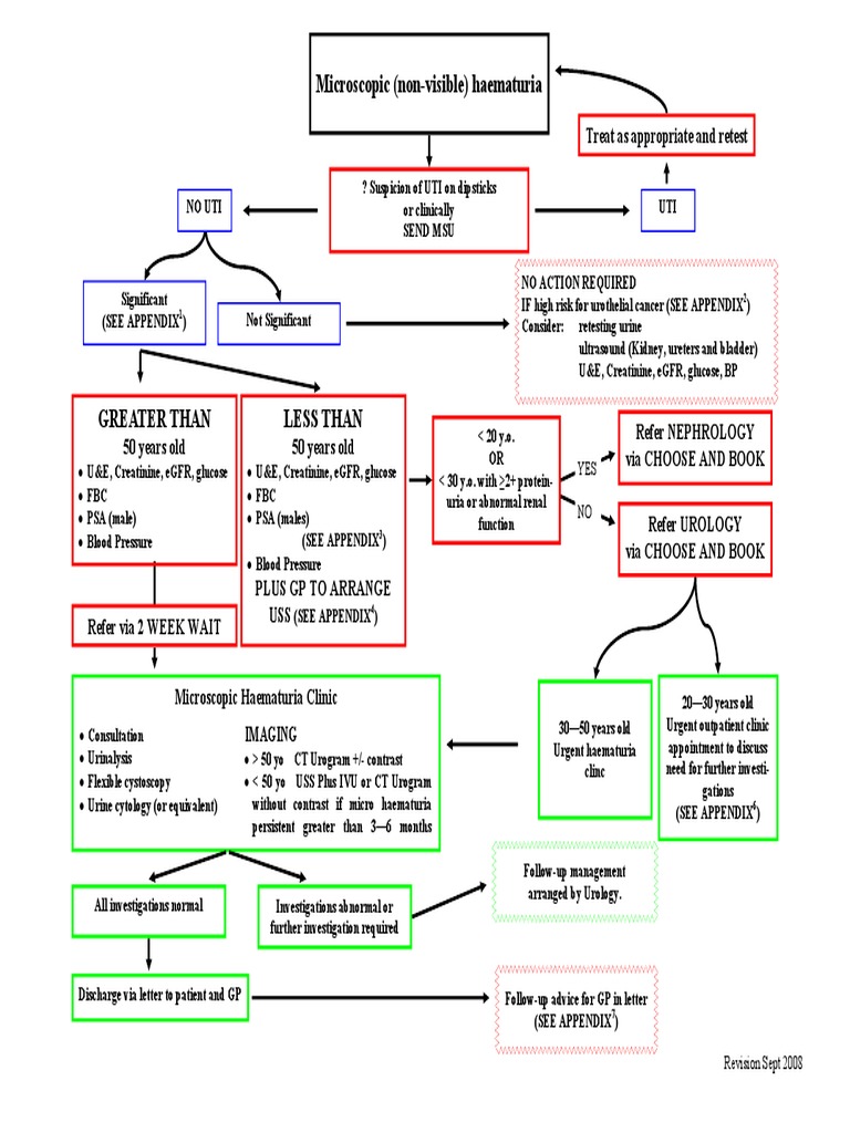 Haematuria Pathways | Renal Function | Urinary Tract Infection
