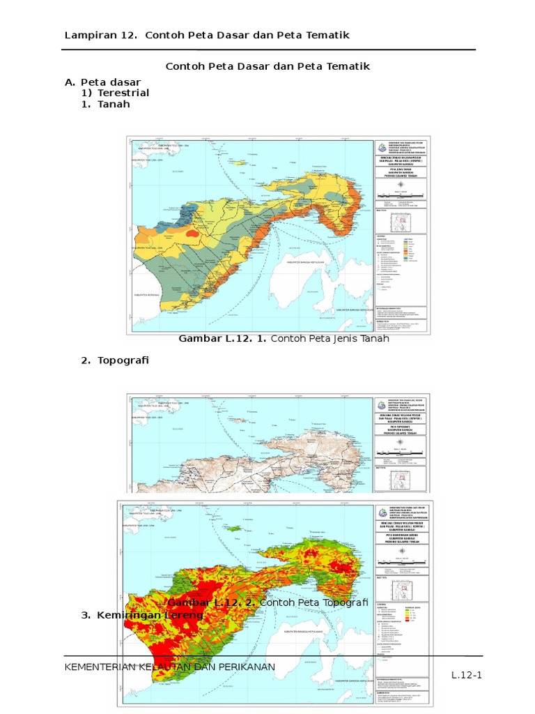 TYPES OF MAPS AND THEIR EXAMPLES | PDF