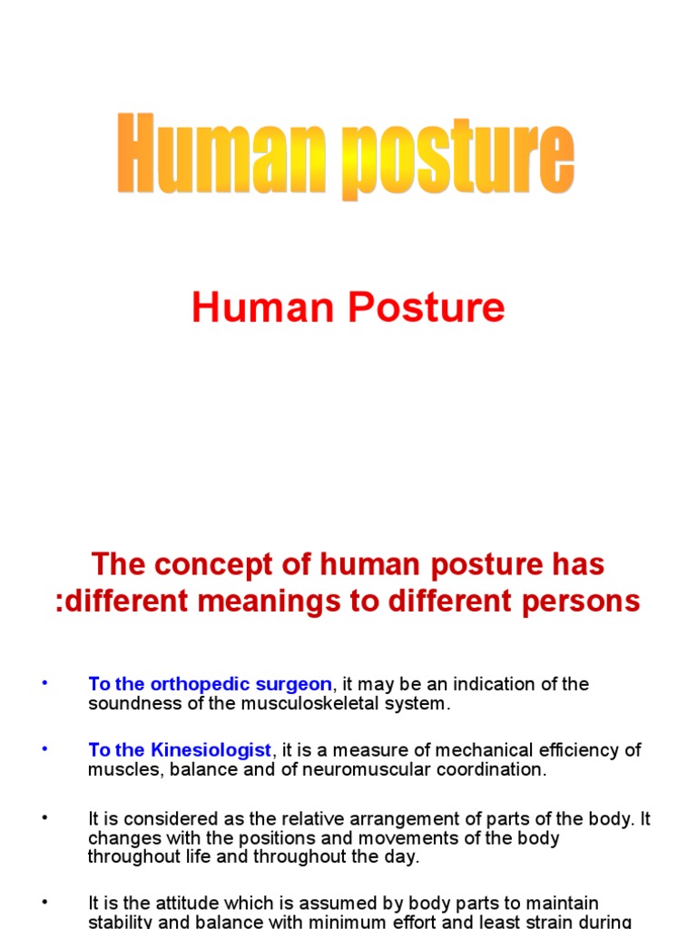 1 Human Posture | PDF | Pelvis | Balance (Ability)