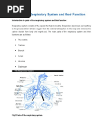 Activity 1.1 Science 9 | PDF | Lung | Respiratory System