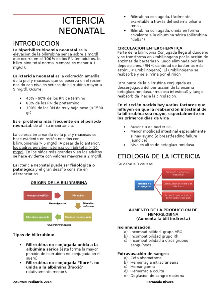 Ictericia Neonatal | PDF | Especialidades Medicas | Enfermedades y trastornos