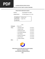 Laporan Praktikum Analisis Instrumen HPLC | PDF