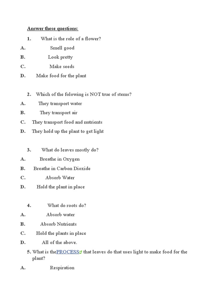 Answer These Questions | PDF