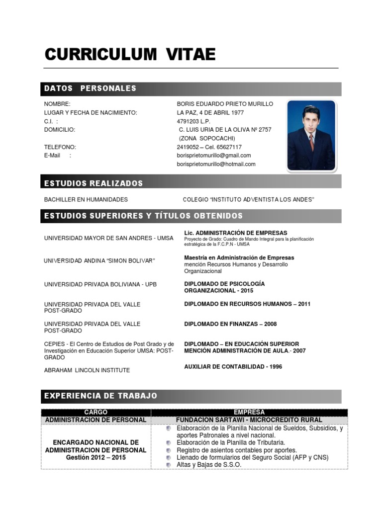 Curriculum Vitae-Ejemplo | PDF | Auditoría | Presupuesto