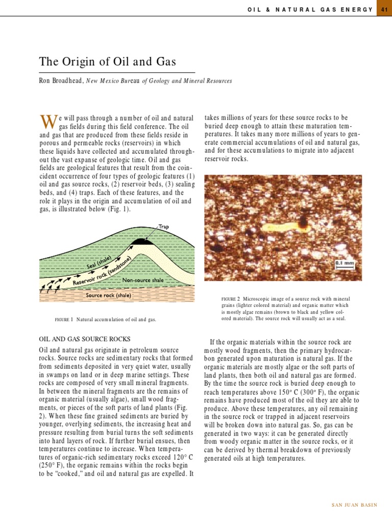 Origin of Oil and Gas | PDF | Petroleum Reservoir | Petroleum
