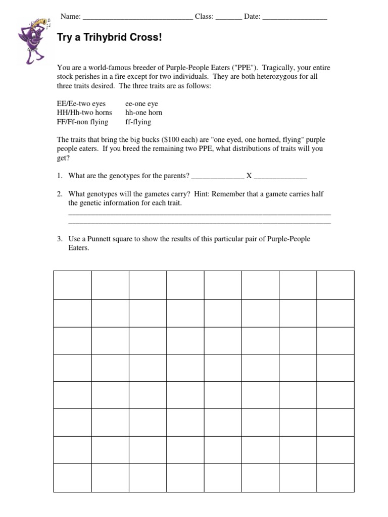 Trihybrid Punnett Square