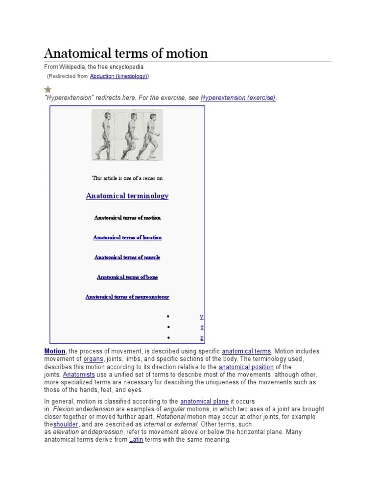 Anatomical Terms of Motion | PDF | Anatomical Terms Of Motion ...