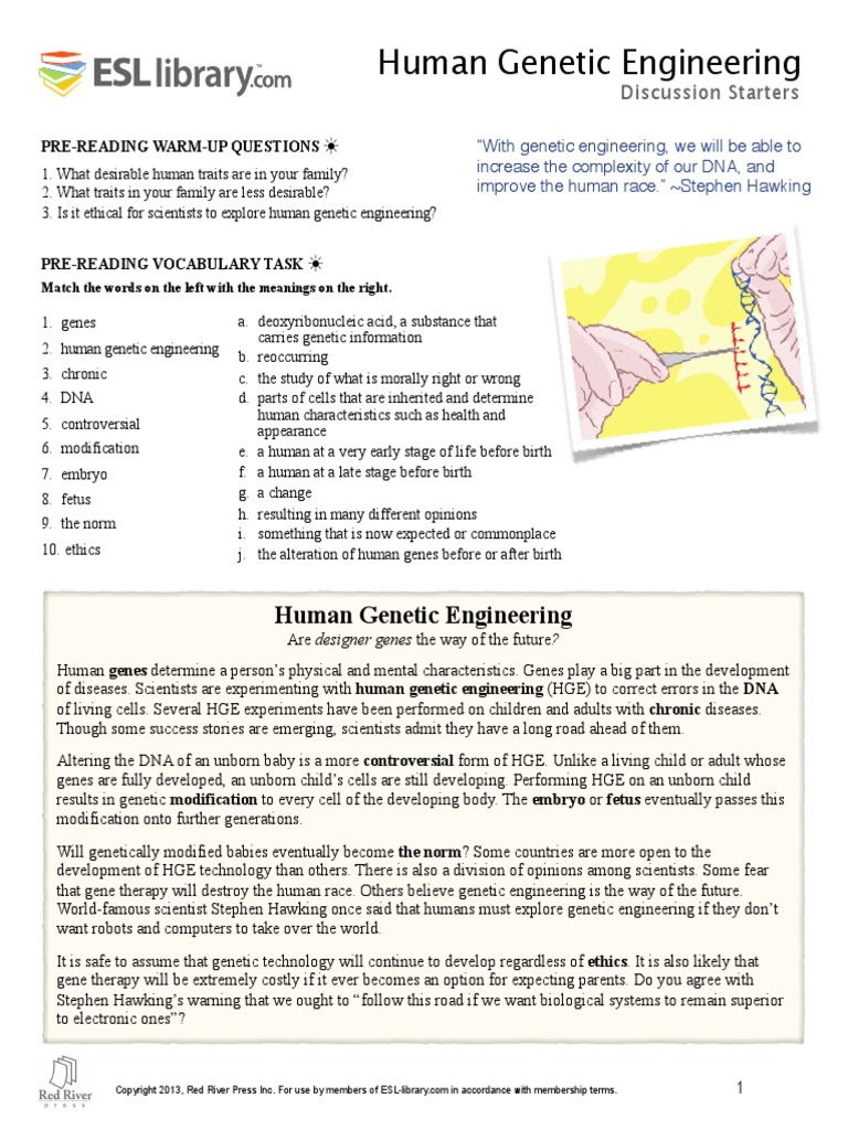Human Genetic Engineering | PDF | Genetic Engineering | Genetics