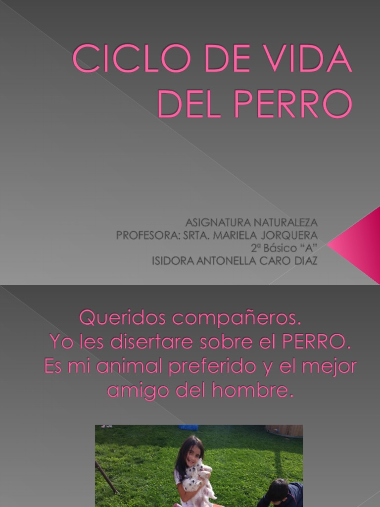 Ciclo de Vida del Perro | PDF | Ciencia y matemáticas