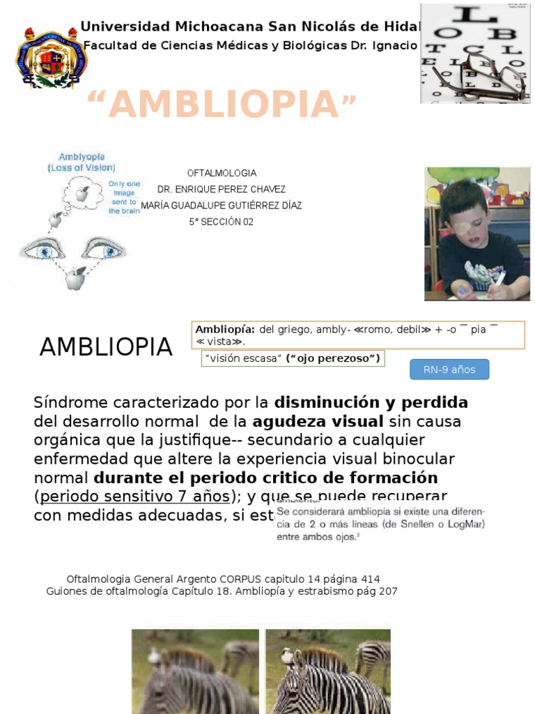 Guía Completa sobre Ambliopía en Niños | PDF | Ojo humano | Percepción ...