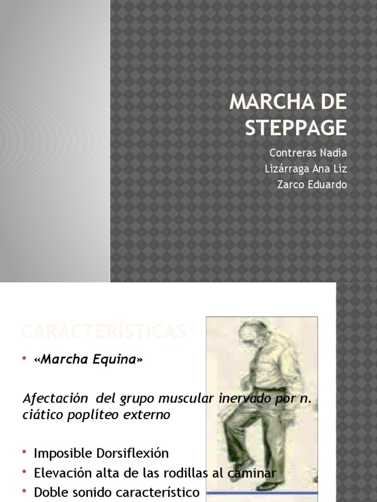 Características de la Marcha Steppage | PDF | Pie | Rodilla