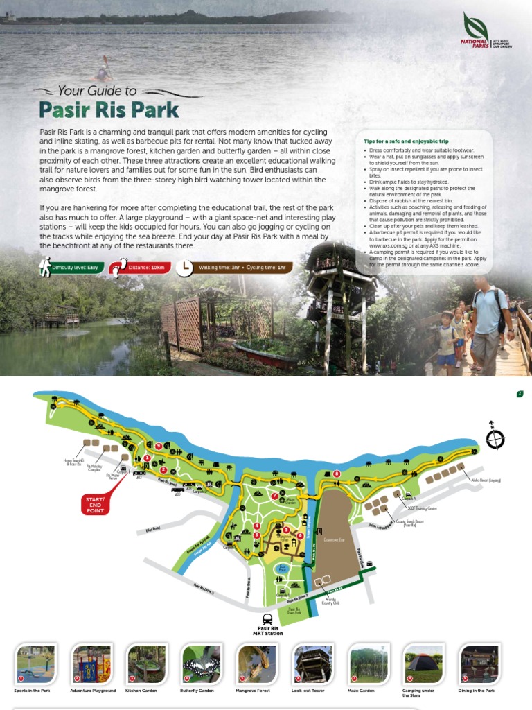 Pasir Ris Park Guide | PDF | Mentha | Chocolate