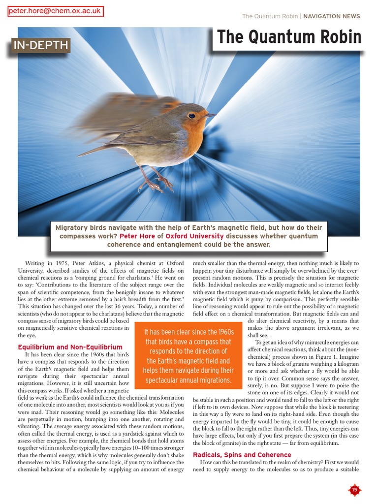 The Quantum Robin | Quantum Entanglement | Electron