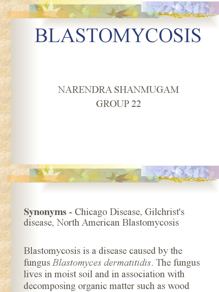 Blastomycosis: Narendra Shanmugam Group 22 | PDF | Pneumonia | Diseases ...