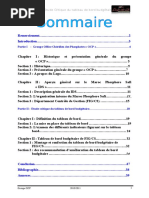 Organigramme Et Filiales de OCP | PDF