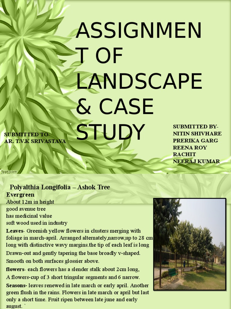 Assignmen TOF Landscape & Case Study | PDF | Trees | Garden Plants
