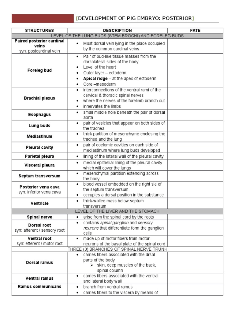 Development of the Posterior Structures in a Pig Embryo: A ...