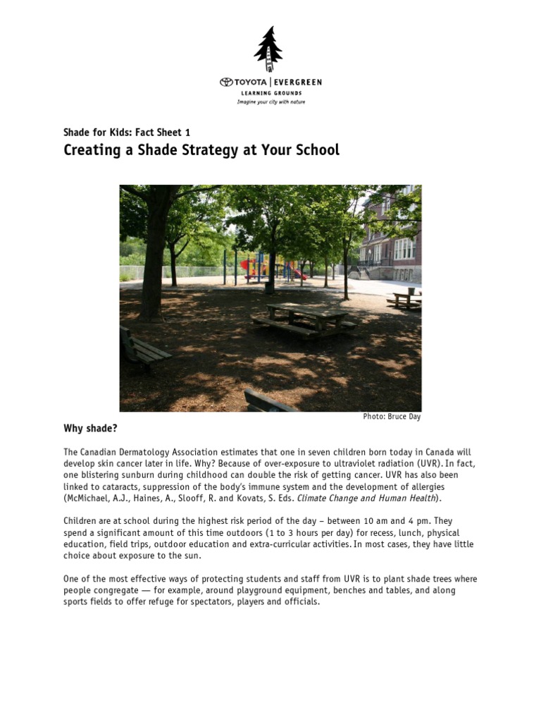 Creating A Shade Strategy at Your School | PDF | Ultraviolet | Sunscreen