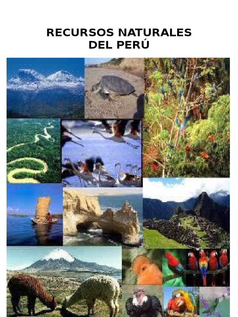 Recursos Naturales Del Perú | PDF