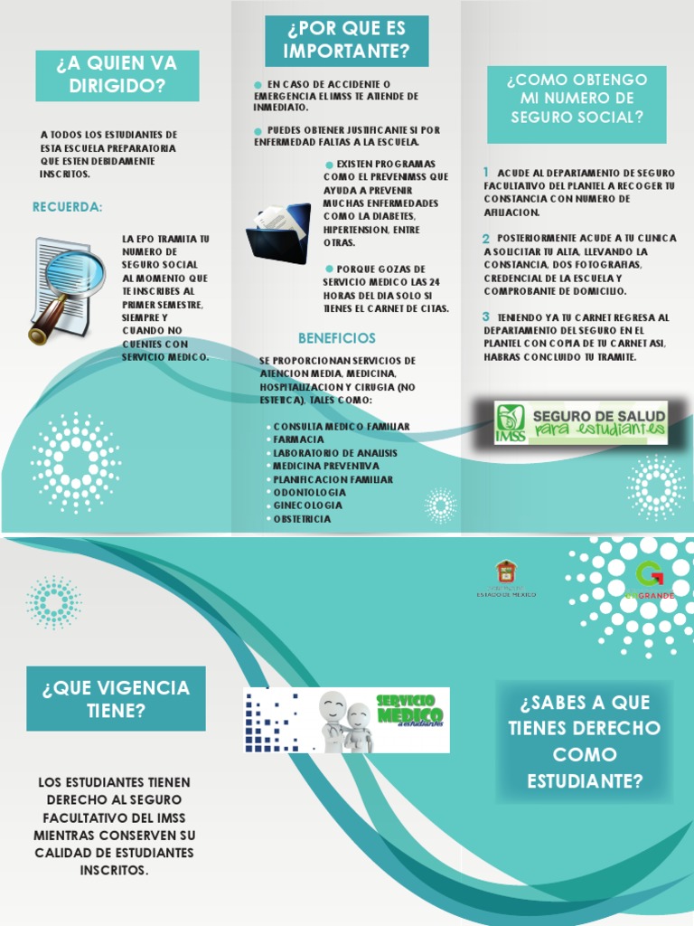 Triptico Seguro Social | PDF