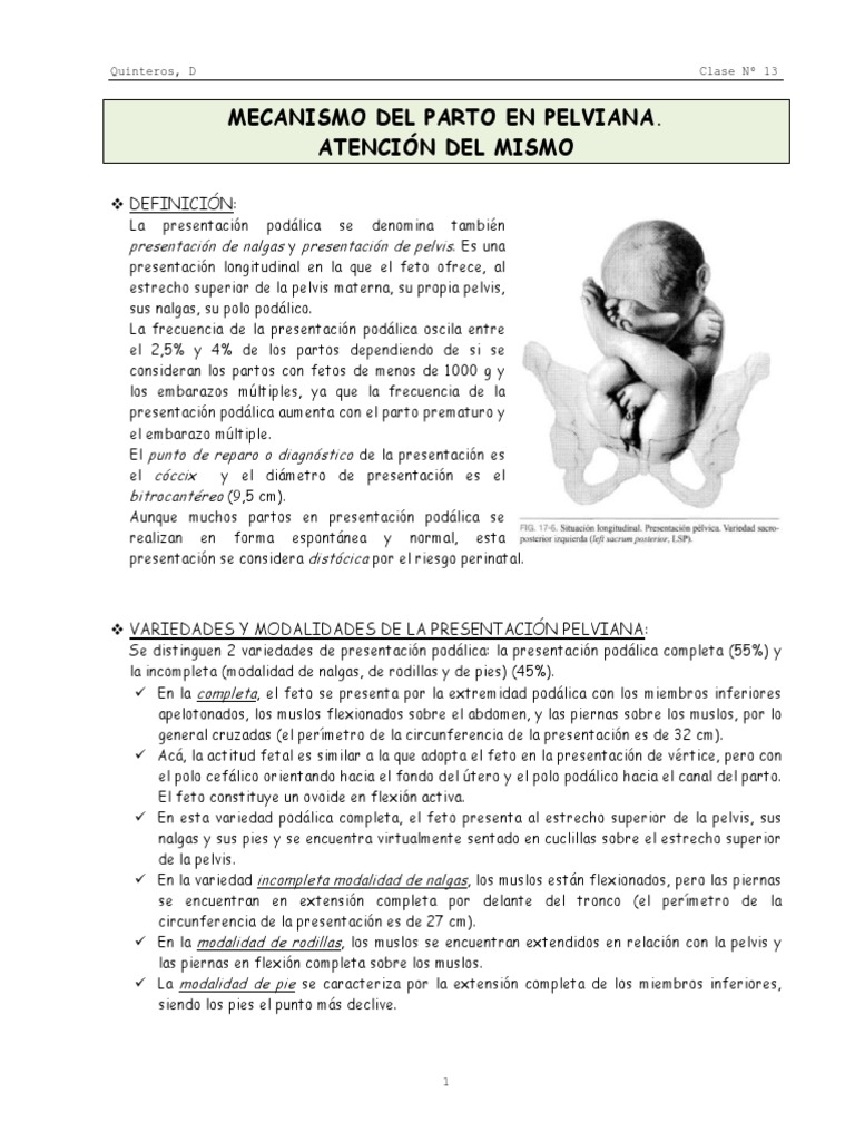Mecanismo del Parto en Presentación Podálica | PDF | Pelvis | El embarazo
