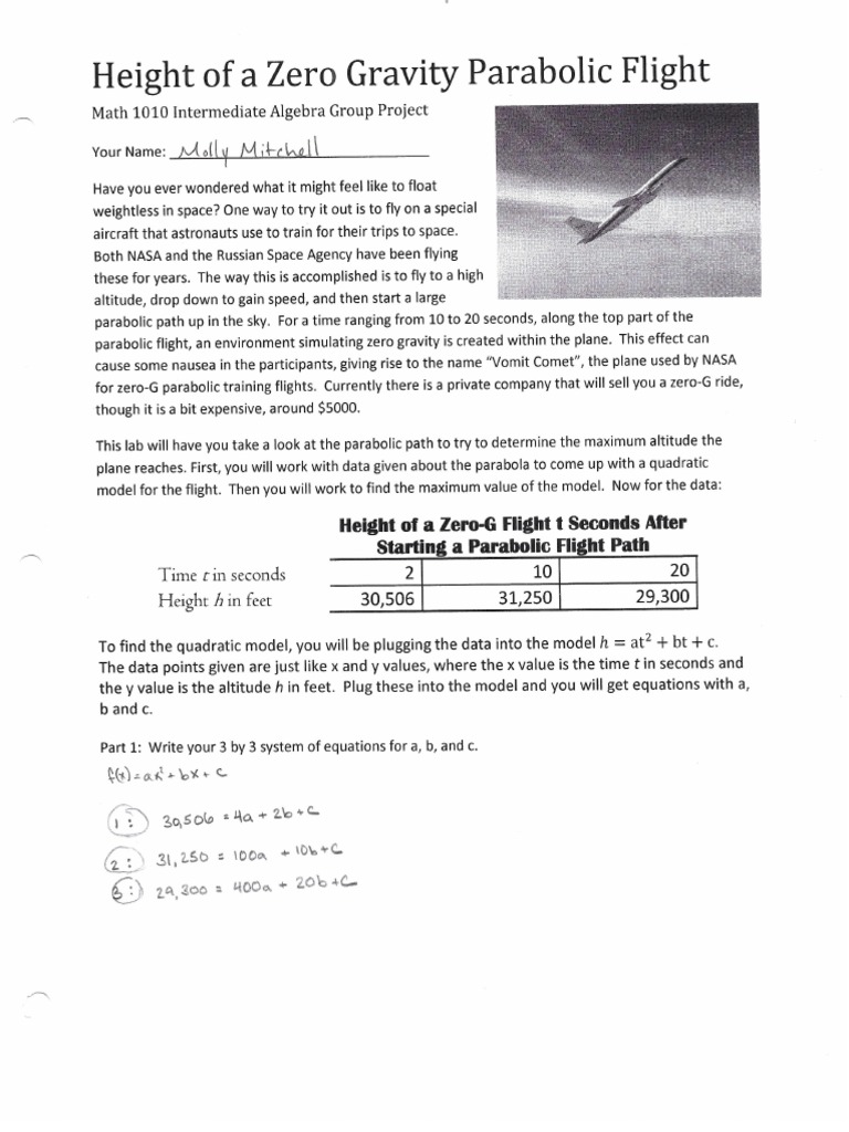 Molly Math 1010 Project 2 E-Portfolio | PDF