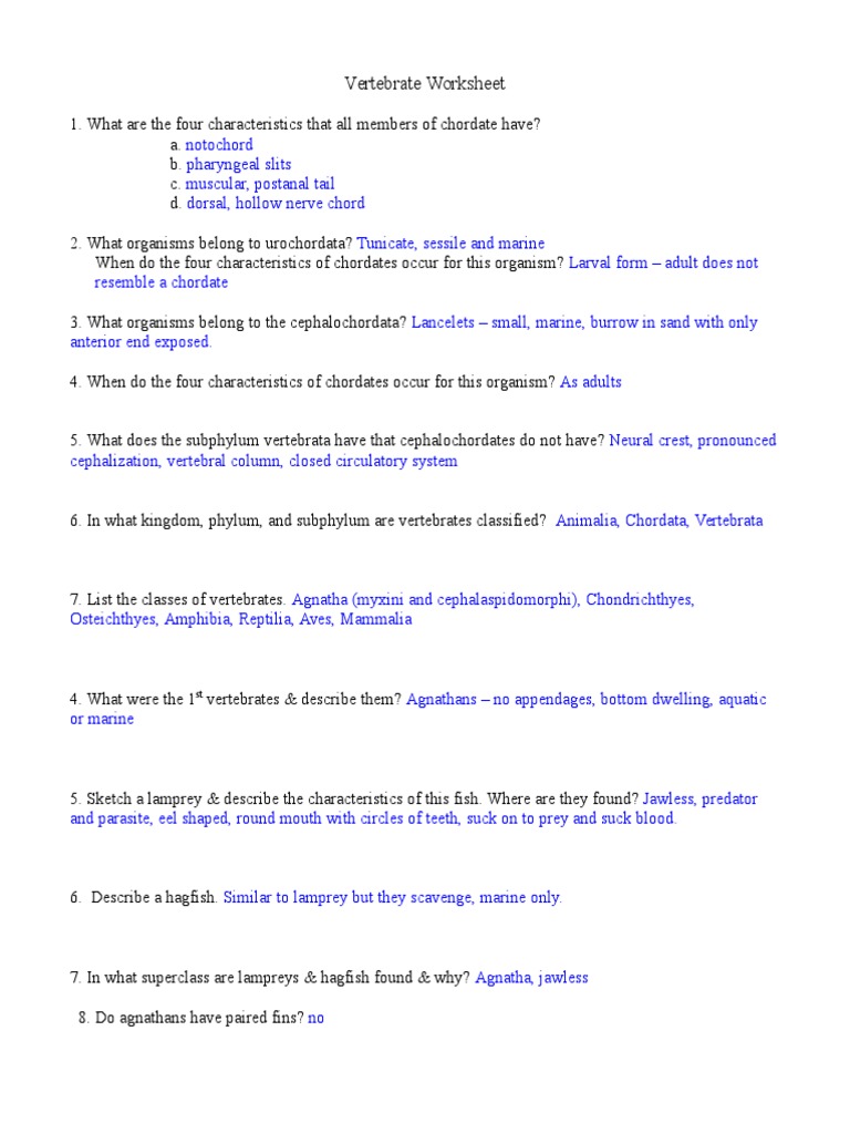 Vertebrate Worksheet Answers | PDF | Reptile | Fish