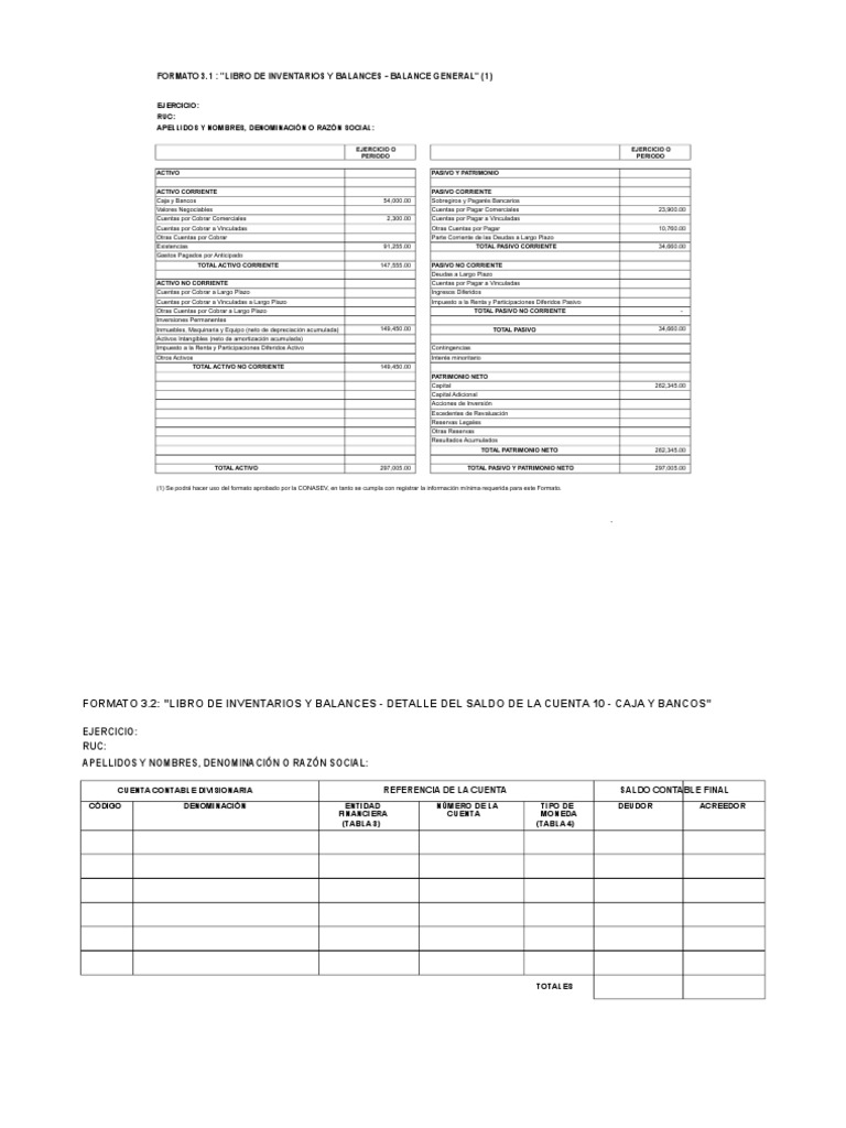 Formato de Libro de Inventarios y Balances | PDF | Compartir (Finanzas ...