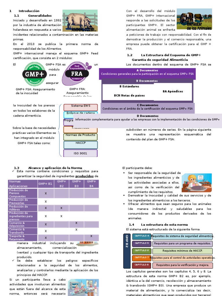 Folleto GMP B2 | PDF | Análisis de Riesgo y Puntos Críticos de Control ...