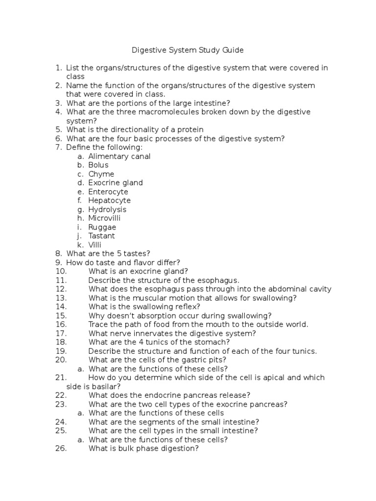 Digestive System Study Guide Human Digestive System Digestion