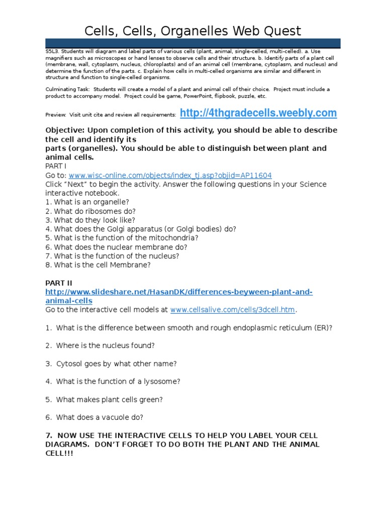 Cell Structure and Function Web Quest | PDF | Cytoplasm | Cell (Biology)