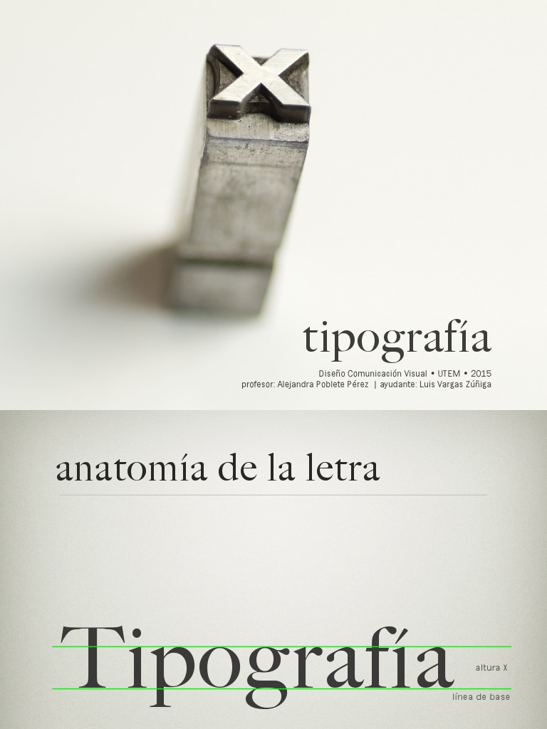 Anatomía Letra y Tipo Móvil | PDF
