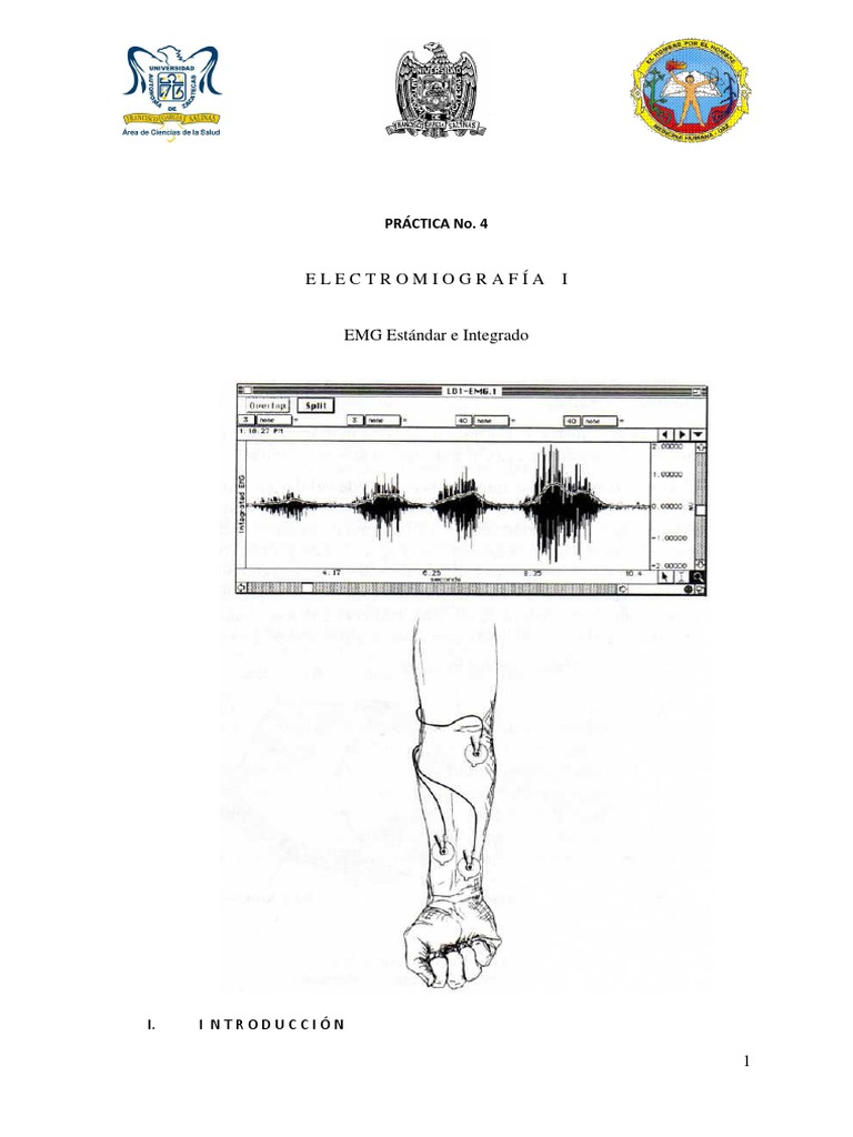 Electromiografía: Práctica y Análisis | PDF | Neurona motora | Músculo
