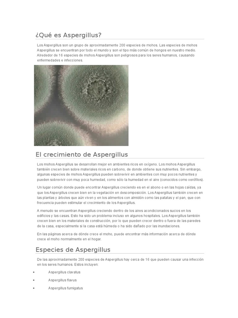 Qué Es Aspergillus | PDF | Alergia | Bienestar