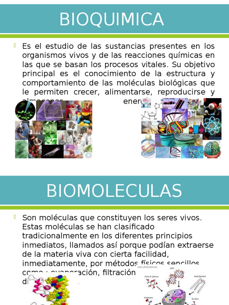 Fundamentos de Bioquímica y Biomoléculas | PDF | Compuestos orgánicos ...