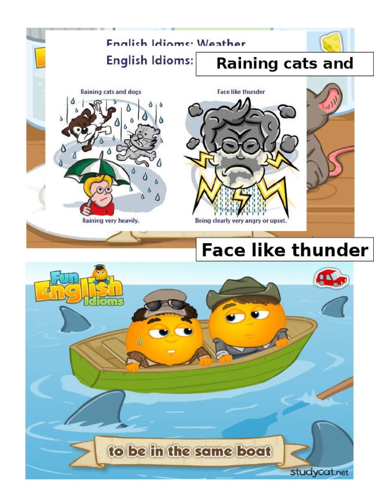 Face Like Thunder: Raining Cats and Dogs | PDF