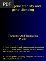 Rosie The Transgenic Cow | PDF